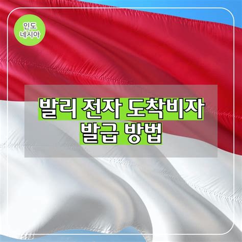 발리 전자 도착비자 발급 방법 및 신청 가격 사진 오류 후기 네이버 블로그