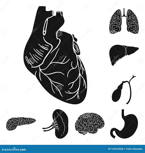 Human Organs Black Icons In Set Collection For Design Anatomy And