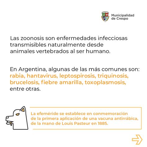 Día Mundial De Las Zoonosis Protegemos La Salud De Animales Y Humanos