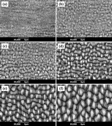 Progressive Evolution Of Silicon Surface Microstructures Under