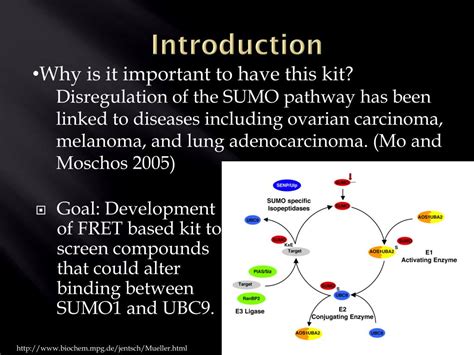 Ppt Fret Based Hts Assay Kit For Sumo1 Ubc9 Interaction Powerpoint