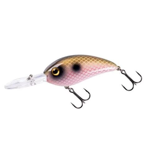 Bomber Gen 2 Fat Free Shad Jr Crankbait Electric Shadv1734506626