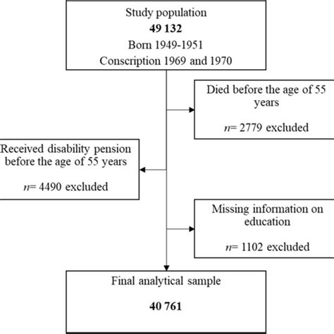 Flow Chart Describing The Selection Process Of The Participants