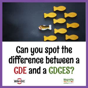 What Is The Difference Between A CDE And A CDCES Megrette Com
