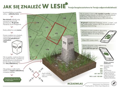 Jak się znaleźć w lesie Lasy Państwowe