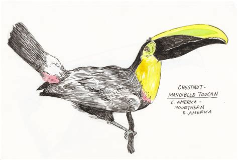 Illustrating Adventures Museum Sketches