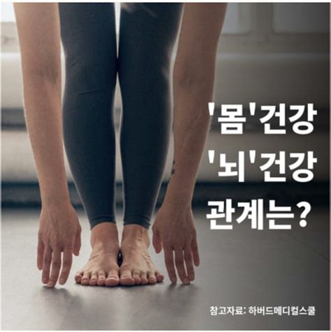 신체 건강과 뇌건강의 관계