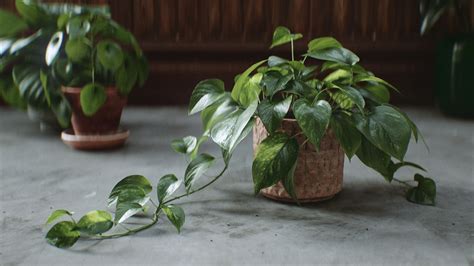 Log Luts And Bokeh Textures Vray Experiment On Behance