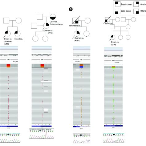 Pedigrees And Confirmation In Igv And Sanger Sequencing Of Pathogenic