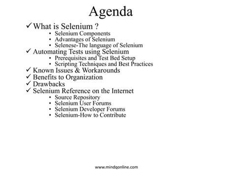 selenium rc ppt ppt