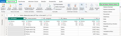 power bi explorando seus tipos de dados alura