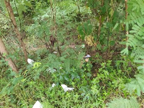 ကျားခဲရွာက ဒေသခံ ၄ ဦးကို မီးရှို့သတ်တဲ့စစ်ကြောင်း တိုက်ခိုက်ခံရပြီး ၄ ဦးသေဆုံး