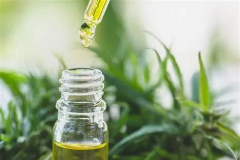El Gobierno Nacional Modificó El Régimen De Cannabis De Uso Medicinal