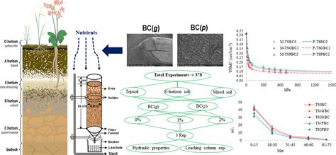 Biochar Applications To Boreal Podzol Improve Soil Hydraulic Properties
