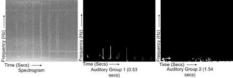 5 Spectrogram And The Corresponding Audio Groups Download Scientific