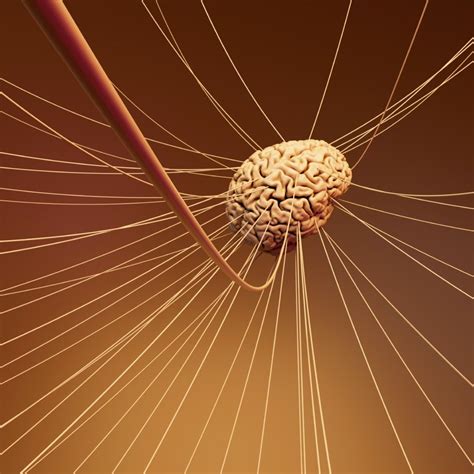 Bridge Rna A New Gene Editing Tool To Compete With Crispr
