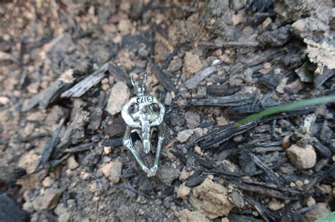 Grasshopper Lapel Pin Lapelpinplanet