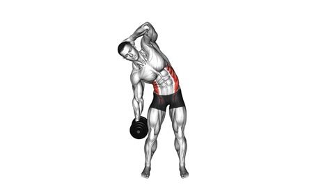 Dumbbell Side Bend Ultimate Exercise Guide And Tips