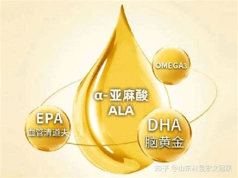 一文带你了解α 亚麻酸 知乎