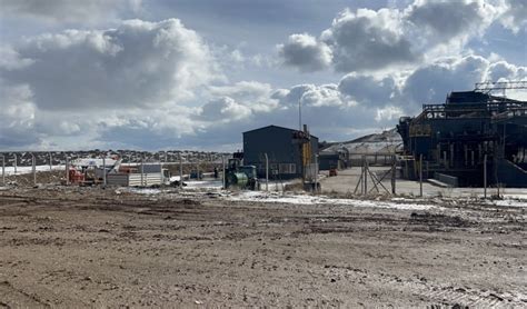 Eskişehir de korkunç olay Yeni doğmuş bebek cesedi bulundu