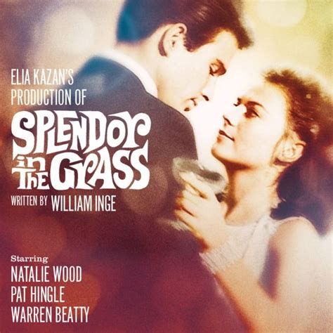 Splendor In The Grass 1961 Elia Kazan Synopsis Characteristics