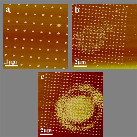 1 Photopolymerization Using Hybrid Sol Gel In Presence Of Lithographic Download Scientific