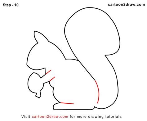 How To Draw Cartoon Squirrel Step Cartoon