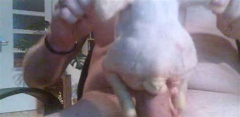 Follandose A Un Pollo Del Supermercado Puritanas
