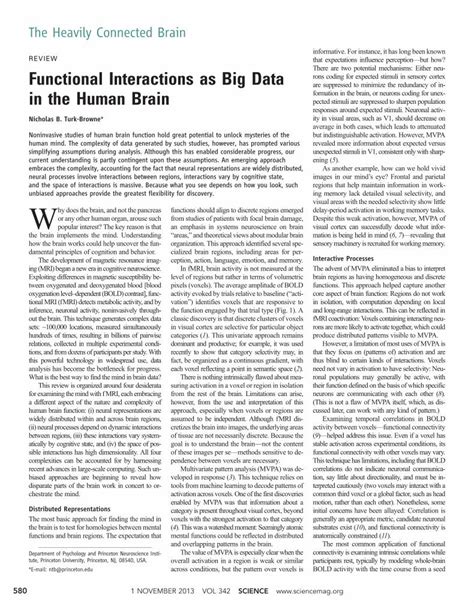 Pdf Review Functional Interactions As Big Data In The Human Brain