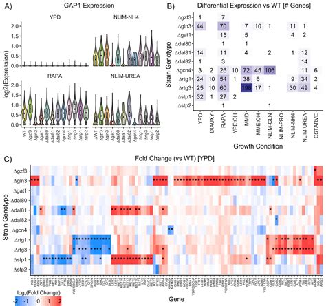 Gene Regulatory Network Reconstruction Using Single Cell RNA Sequencing