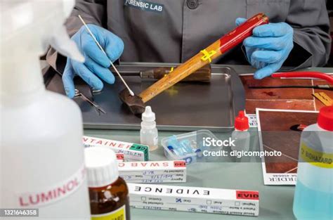 경찰 과학자는 범죄 실험실에서 망치 한 쌍에서 Dna 샘플을 추출 개념 이미지 Dna에 대한 스톡 사진 및 기타 이미지 Dna Stem 주제 검사 보기 Istock