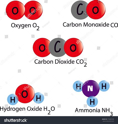 What Are The Two Types Of Carbon Dioxide At Amy Heyer Blog