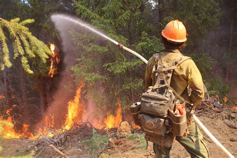 The True Cost Of Catastrophic Wildfire The National Wild Turkey