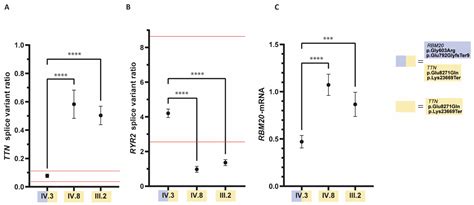 The Combined Human Genotype Of Truncating Ttn And Rbm20 Mutations Is Associated With Severe And