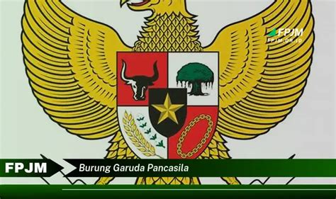 Intip 7 Fakta Unik Tentang Burung Garuda Pancasila Yang Jarang Diketahui