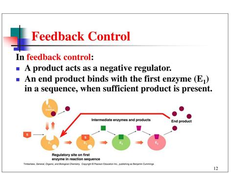 Ppt Chapter 21 Enzymes And Vitamins Powerpoint Presentation Free