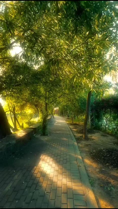𝓜𝓸𝓶𝓲𝓷𝓪 Thrumominalens • Instagram Photos And Videos