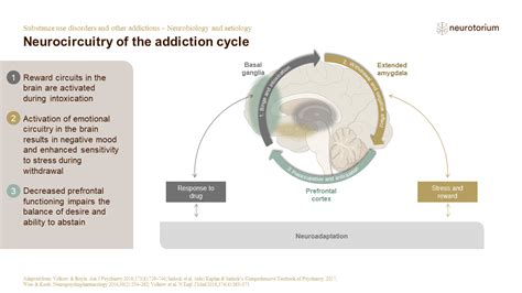 Substance Use Disorders And Other Addictions Neurobiology And Aetiology Neurotorium