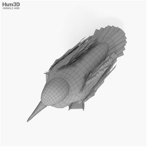 Gannet 3d Model Download Birds On