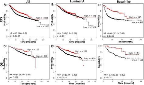Cd74 And Intratumoral Immune Response In Breast Cancer Abstract