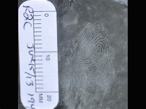 Forensic Identification Unit South Simcoe Police Service
