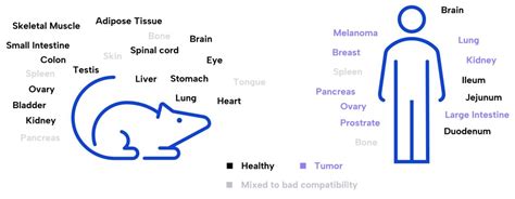 Nuclei Isolation For Single Cell Which Method Single Cell Discoveries