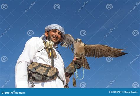 Male Saker Falcon During A Falconry Flight Show In Dubai Uae
