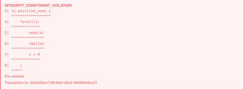Integrity Constraints Rai Documentation