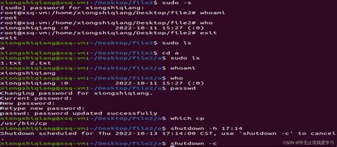 linux ubuntu高级命令（二） ubuntu高级选项 csdn博客