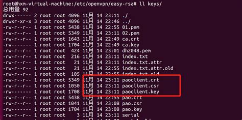 Ubuntu搭建openvpn服务器 Csdn博客