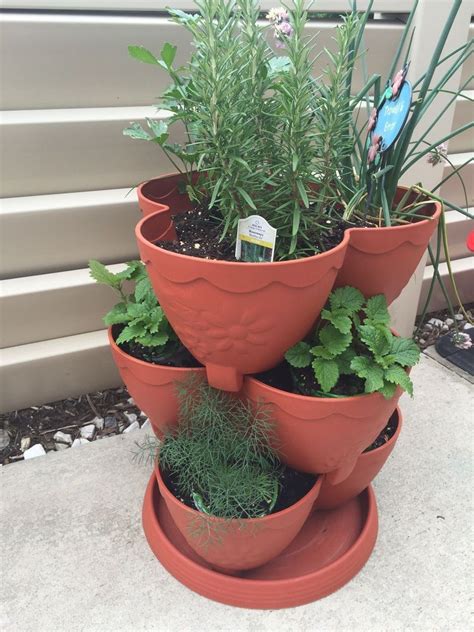 My New Herb Garden Vegetable Garden For Beginners Gardening For