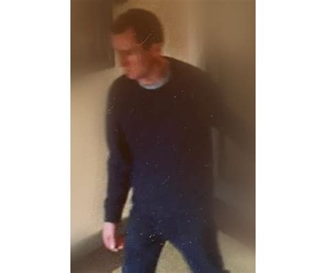 Have You Seen Missing Timothy The Pembrokeshire Herald