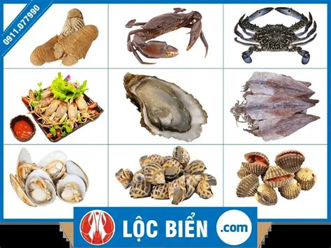 Mua Hải Sản Tươi Sống Ở Hải Dương Địa Chỉ Uy Tín Và Kinh Nghiệm Lựa Chọn
