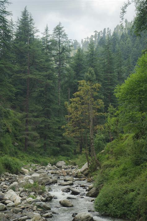 Mandi Telanjang Photos Download The Best Free Mandi Telanjang Stock